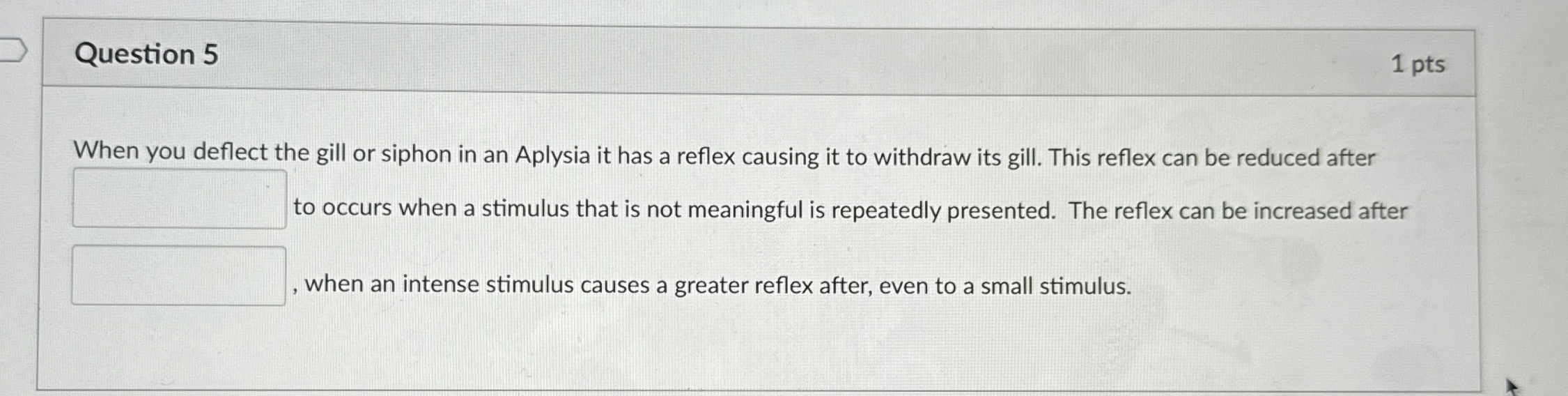 Solved Question 51 ﻿ptsWhen you deflect the gill or siphon | Chegg.com