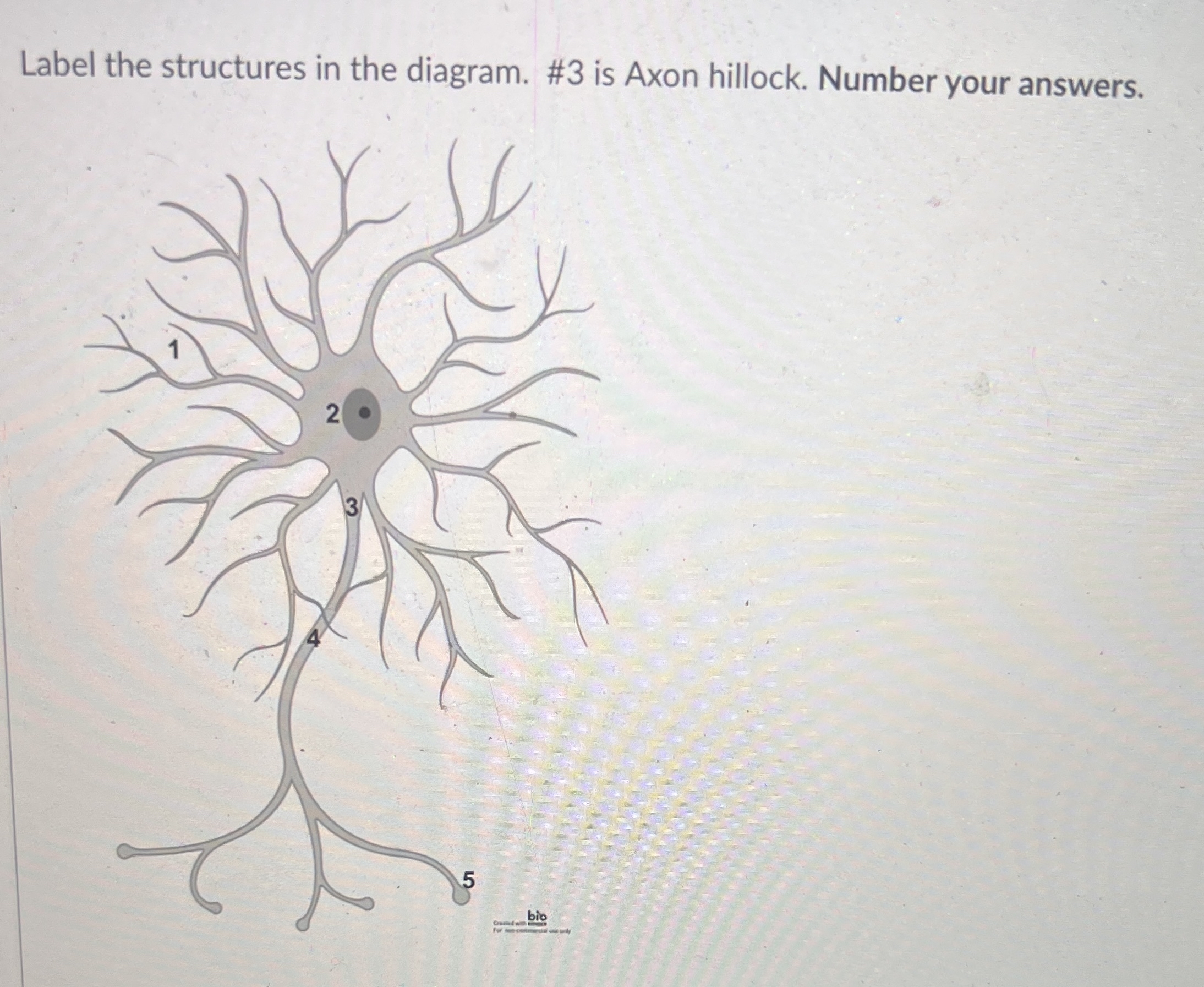 Solved Label the structures in the diagram. #3 ﻿is Axon | Chegg.com