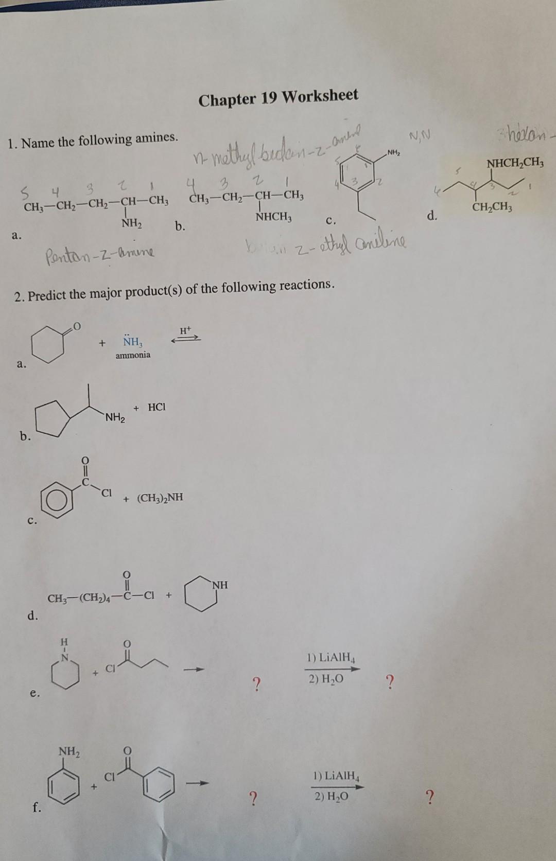 Solved Chapter 19 Worksheet 1. Name the following amines. b. | Chegg.com