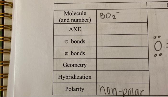 Solved Molecule (and number) BO2 AXE o bonds Ő n bonds | Chegg.com