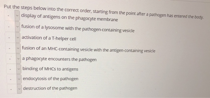 Solved Put the steps below into the correct order, starting | Chegg.com