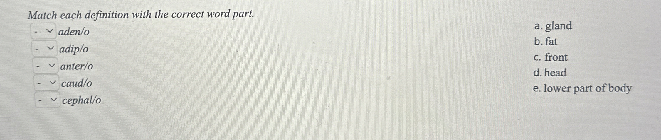 Solved Match each definition with the correct word part. | Chegg.com