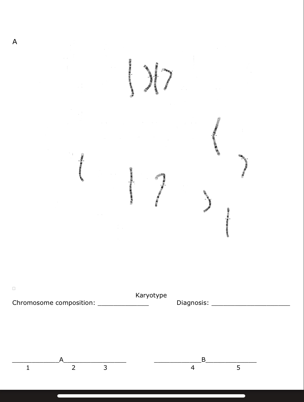 Solved Help me please A8Chromosome | Chegg.com