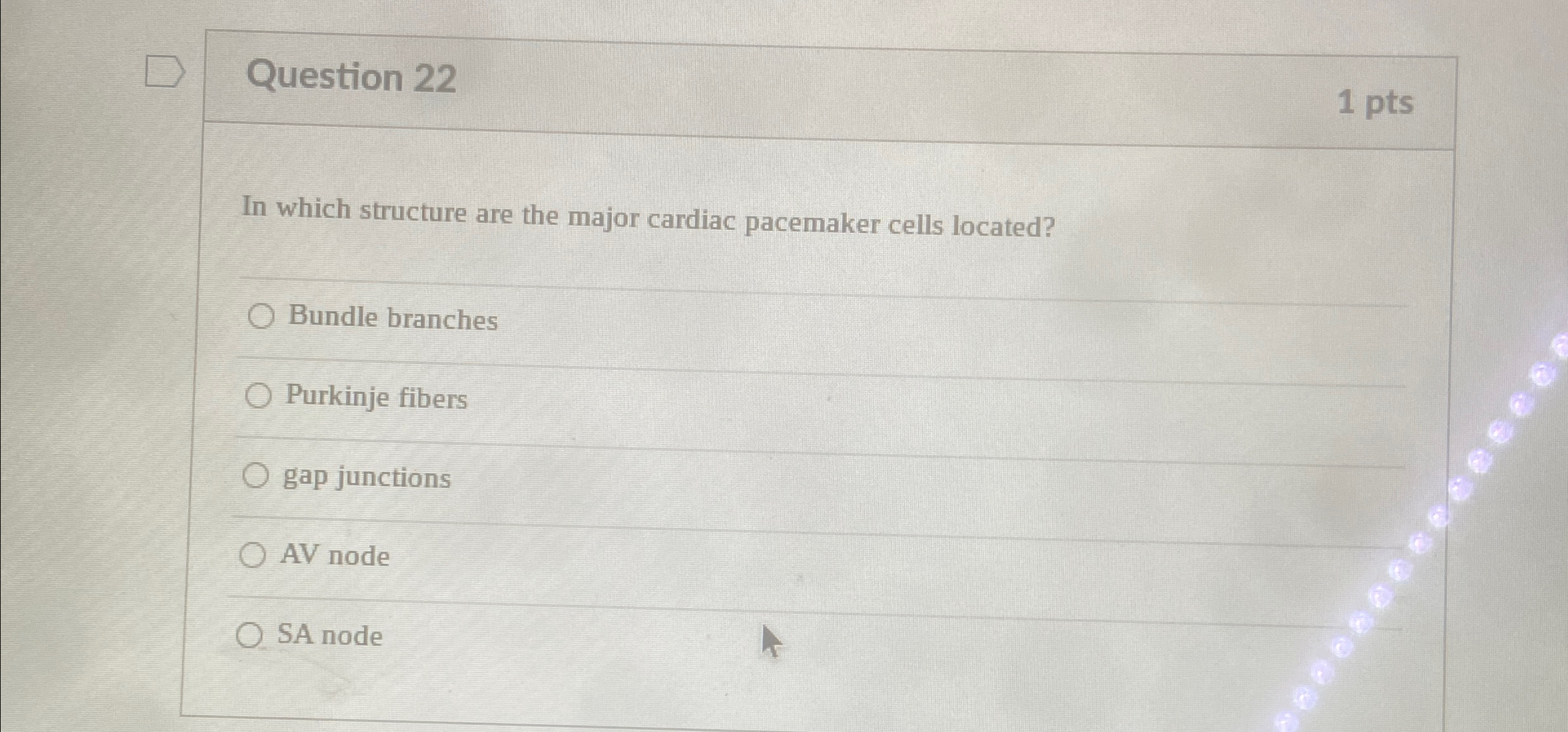 Solved Question 221 ﻿ptsIn which structure are the major | Chegg.com
