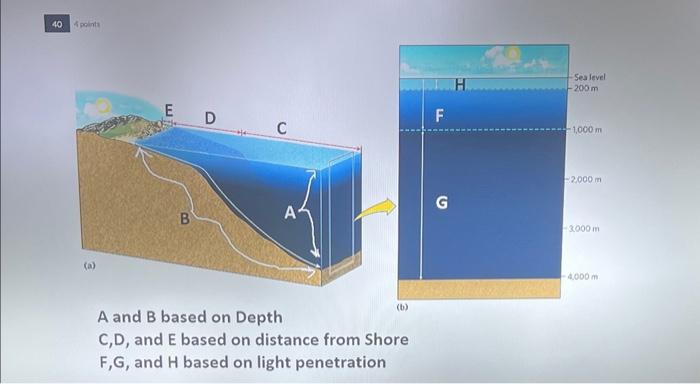 Solved A and B based on Depth C,D, and E based on distance | Chegg.com
