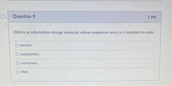 Solved DNA is an information storage molecule, whose | Chegg.com