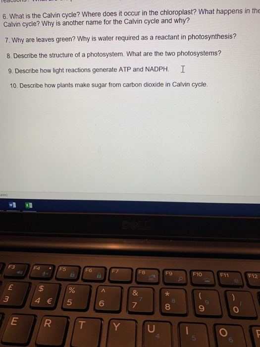 Solved 6. What is the Calvin cycle? Where does it occur in | Chegg.com