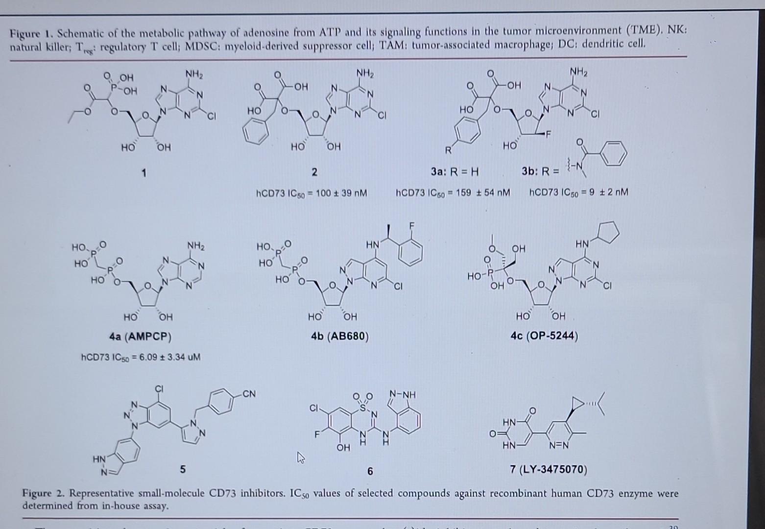 Solved Figure 1. Schematic of the metabolic pathway of | Chegg.com