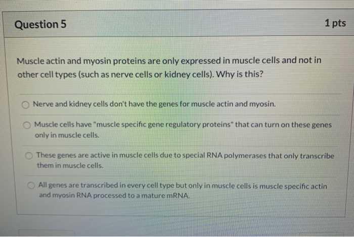 Solved Question 5 1 pts Muscle actin and myosin proteins are | Chegg.com