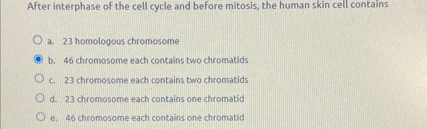 Solved After interphase of the cell cycle and before | Chegg.com
