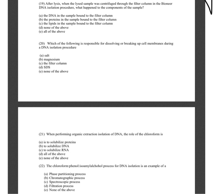 Solved (19) After lysis, when the lysed sample was | Chegg.com
