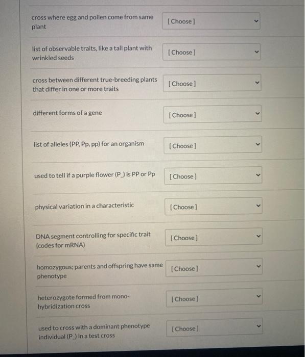 Solved both alleles completely expressed in heterozygote | Chegg.com