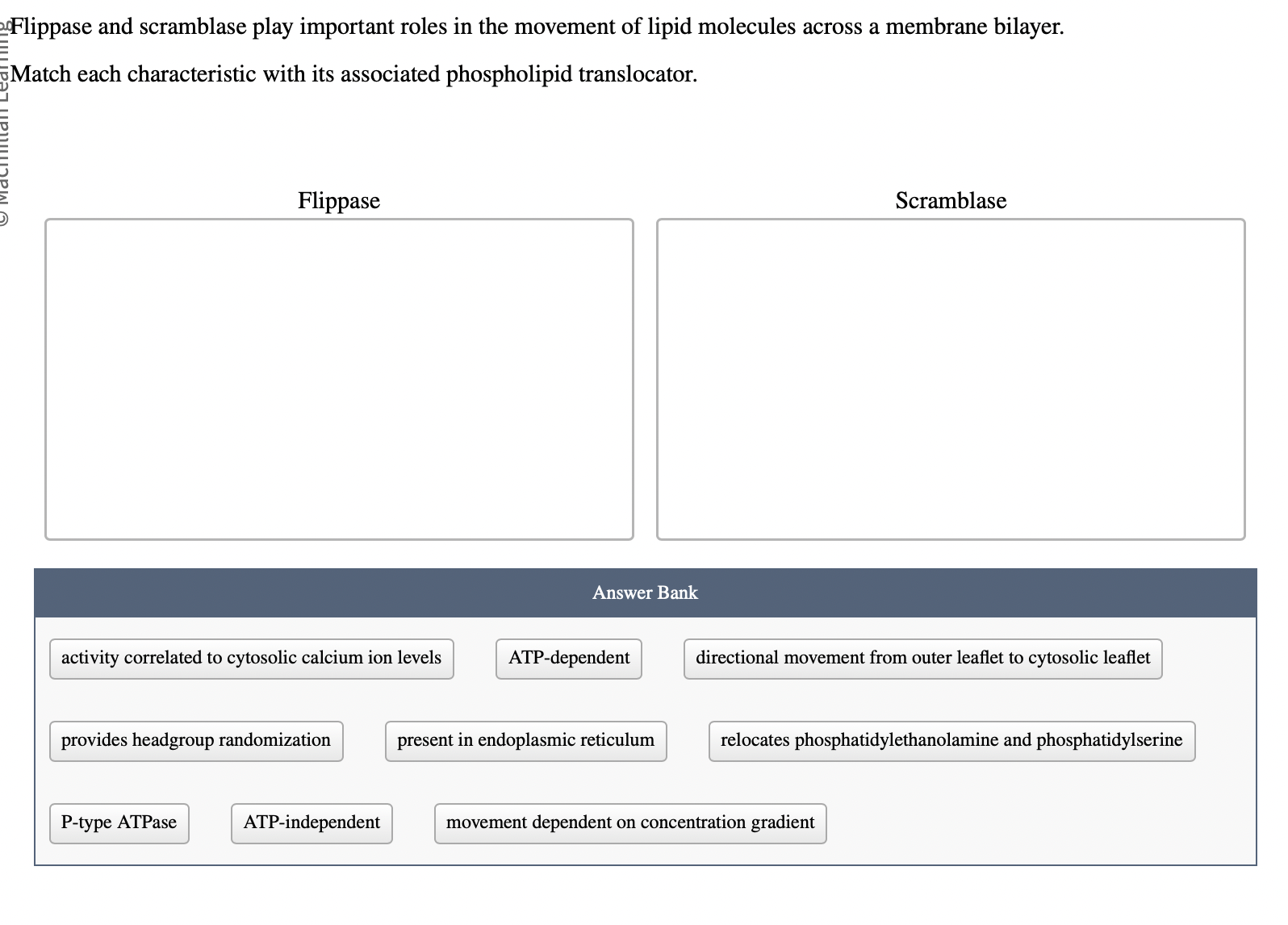 Solved Flippase and scramblase play important roles in the | Chegg.com
