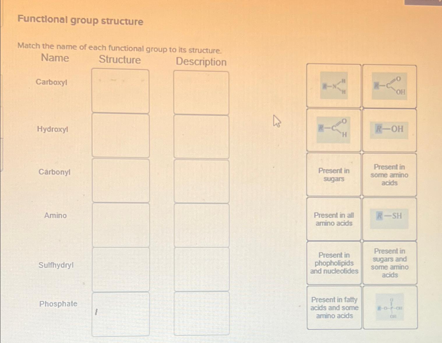Solved Functional group structureMatch the name of each | Chegg.com