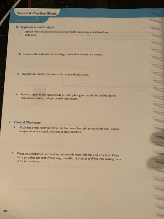 Solved Review & Practice Sheet Exercise 2 4. Label the | Chegg.com