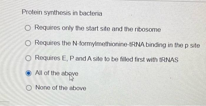 Solved Protein synthesis in bacteria Requires only the start | Chegg.com