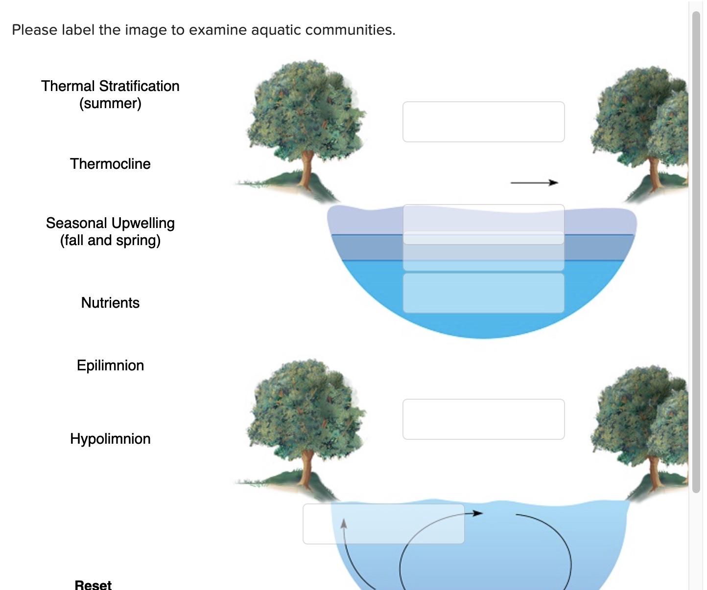 Solved Please move the correct terms and/or concepts into | Chegg.com