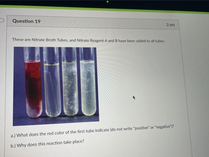 Solved Question 19 2 pts These are Nitrate Broth Tubes, and | Chegg.com