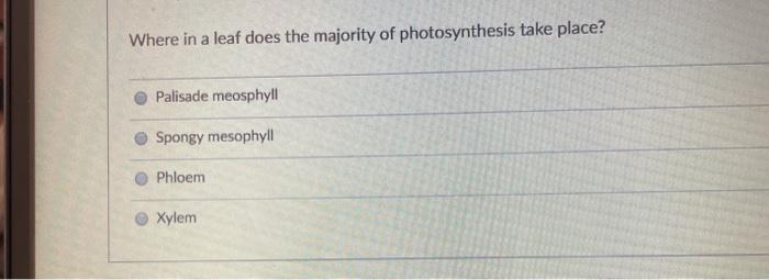 Solved Where in a leaf does the majority of photosynthesis | Chegg.com