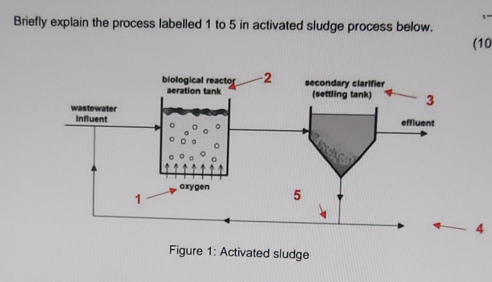 Solved Briefly explain the process labelled 1 to 5 in | Chegg.com