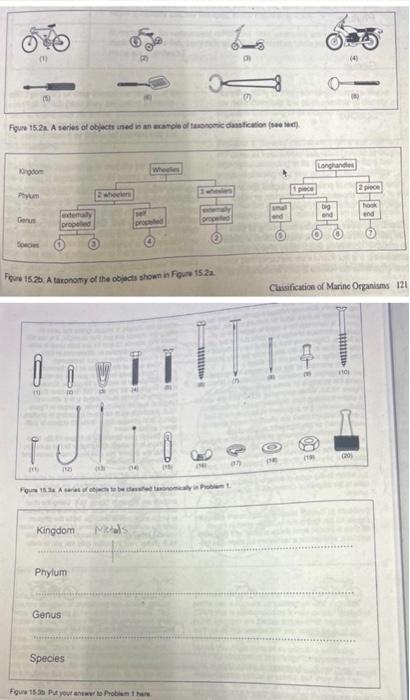 Problem 1: Twenty inanimate objects are shown in | Chegg.com