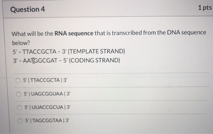Solved Question 4 1 pts What will be the RNA sequence that | Chegg.com