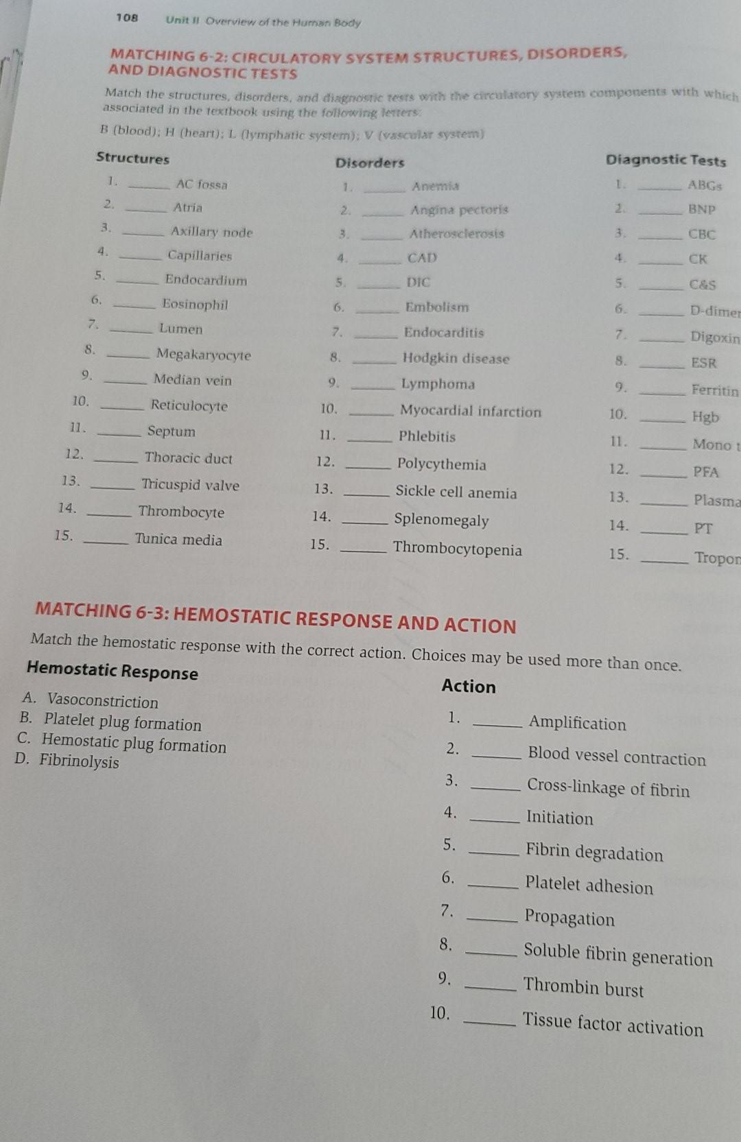 Solved 708 Unit II Overview of the Human Body CK MATCHING | Chegg.com