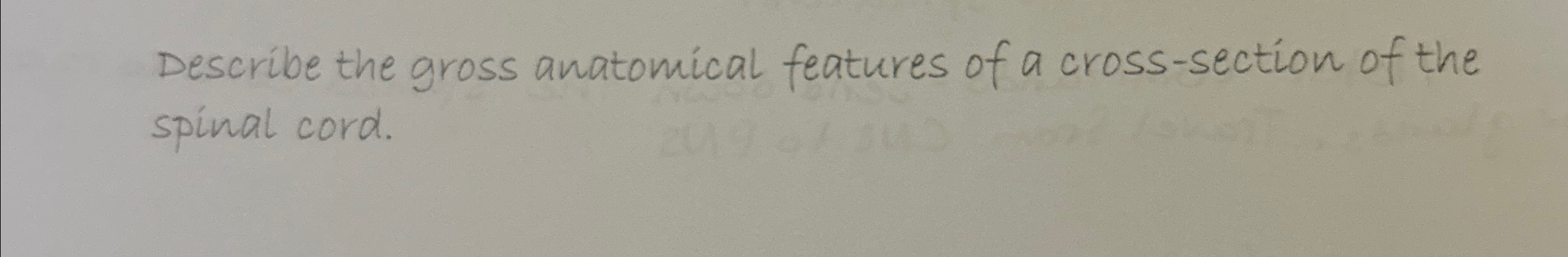 Solved Describe the gross anatomical features of a | Chegg.com
