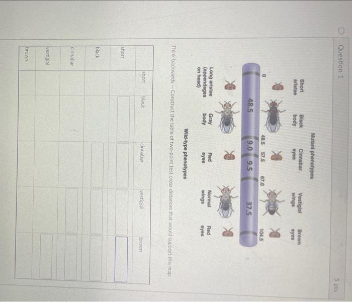 Solved Think backwards- construct the table of two-point | Chegg.com