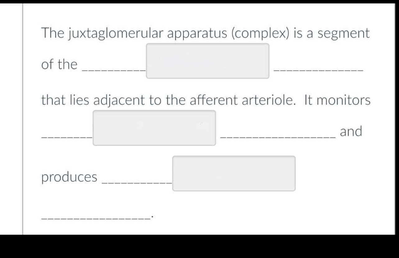 Solved The juxtaglomerular apparatus (complex) ﻿is a segment | Chegg.com