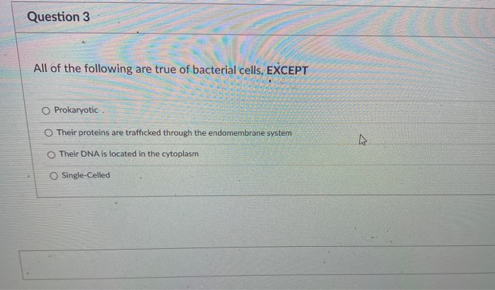 Solved Question 3 All of the following are true of bacterial | Chegg.com