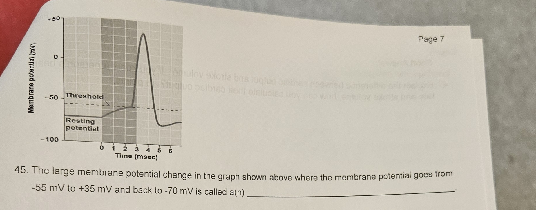 Solved 45. ﻿The large membrane potential change in the graph | Chegg.com