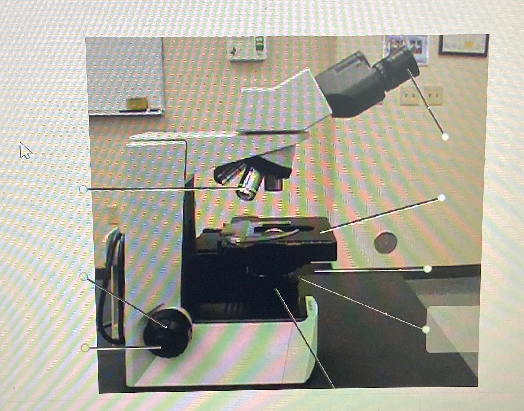 Solved Name the parts of the microscope | Chegg.com