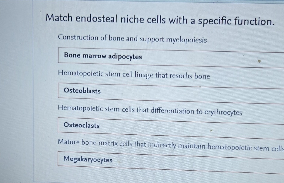 Solved Match endosteal niche cells with a specific | Chegg.com