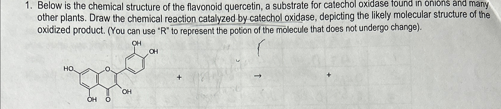 Solved Below is the chemical structure of the flavonoid | Chegg.com