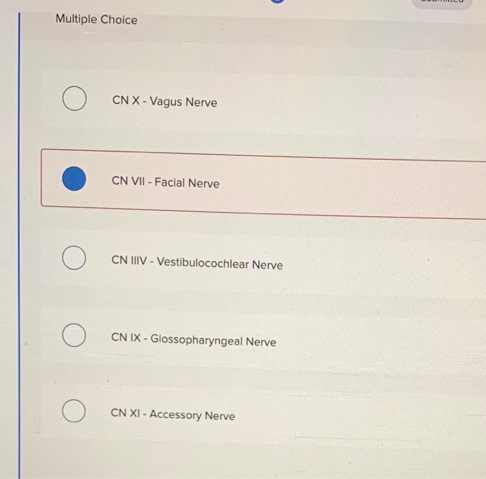 Solved Which structure is highlighted? Multiple Choice O | Chegg.com