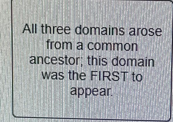 Solved All three domains arose from a common ancestor this | Chegg.com