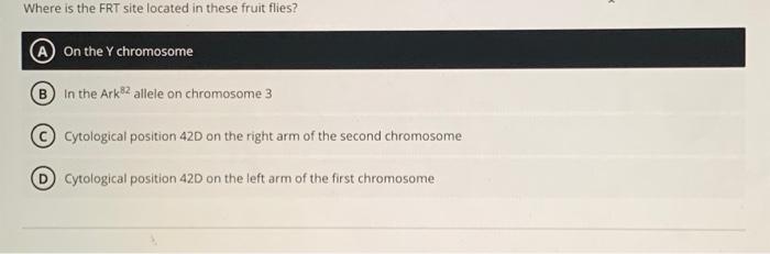 Solved Where is the FRT site located in these fruit flies? | Chegg.com