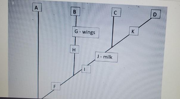 Solved Use the following table to construct a cladogram. The | Chegg.com