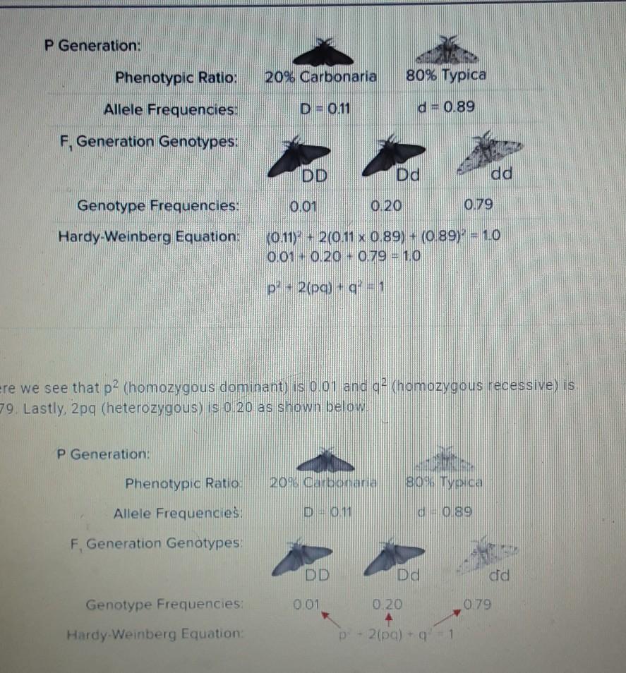 Solved SELECTION - NATURAL SELECTION IN INSECTS Lab Data | Chegg.com