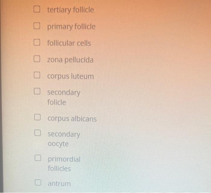 Solved tertiary follicle primary follicle follicular cells | Chegg.com