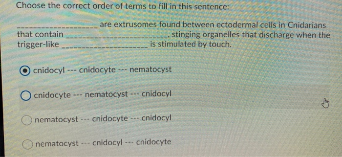 Solved Choose the correct order of terms to fill in this | Chegg.com