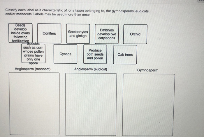 Solved Classify each label as a characteristic of, or a | Chegg.com