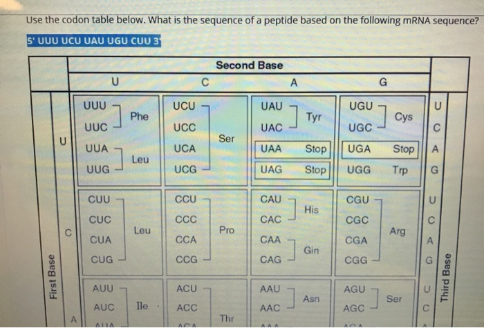 Solved Use the codon table below. What is the sequence of a | Chegg.com
