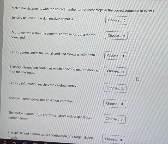Solved Match the statements with the correct number to put | Chegg.com