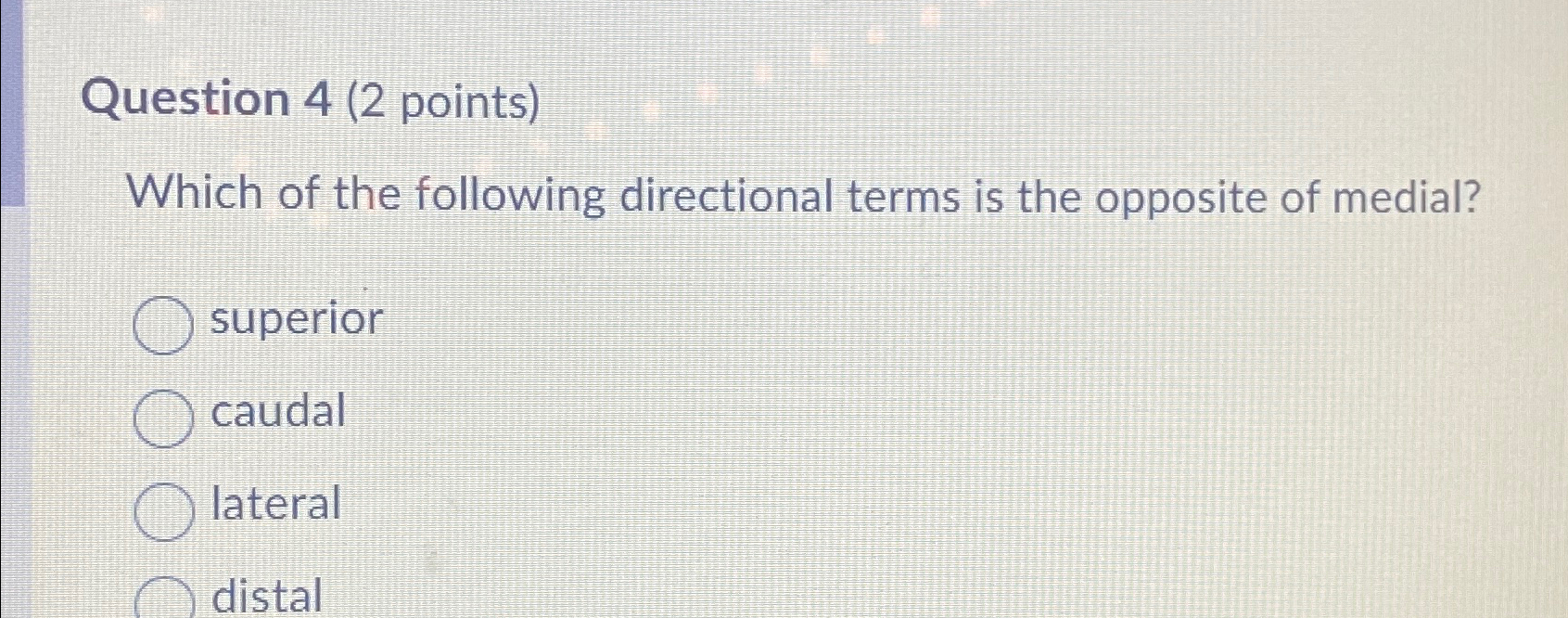 Solved Question 4 (2 ﻿points)Which of the following | Chegg.com