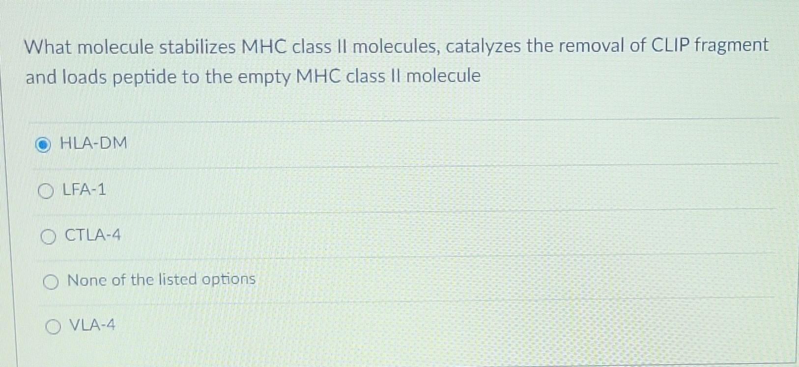 What molecule stabilizes MHC class II molecules, | Chegg.com