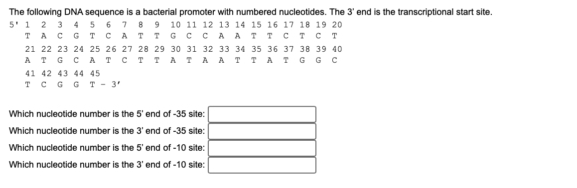 Solved The following DNA sequence is a bacterial promoter | Chegg.com