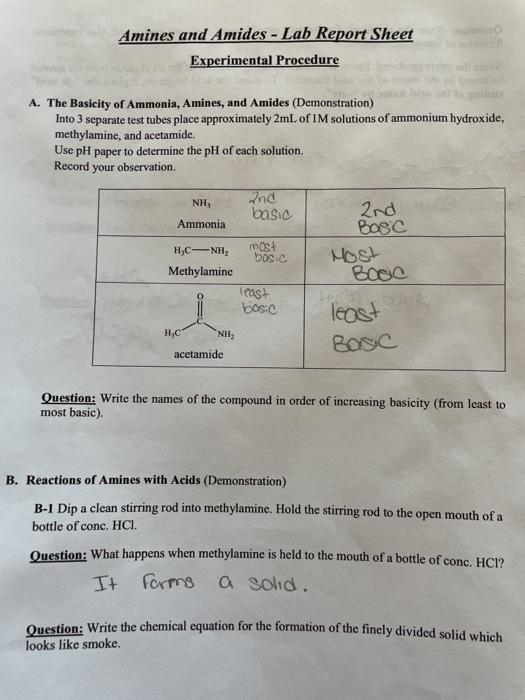 Solved Amines and Amides - Lab Report Sheet Experimental | Chegg.com