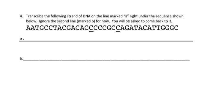Solved 4. Transcribe the following strand of DNA on the line | Chegg.com
